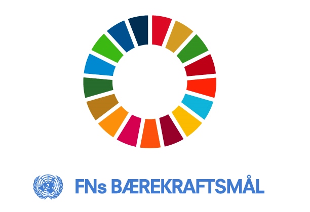 FNs bærekraftsmål – hva er bærekraftig utvikling? | Framfylkingen